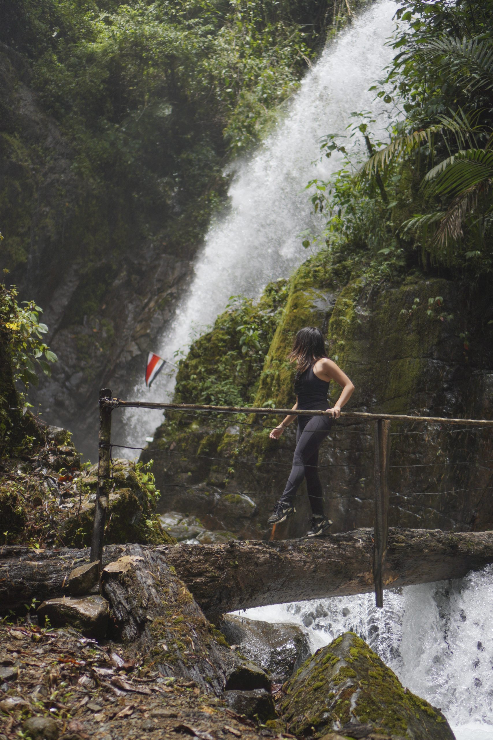 Grupo Purdy – AmCham